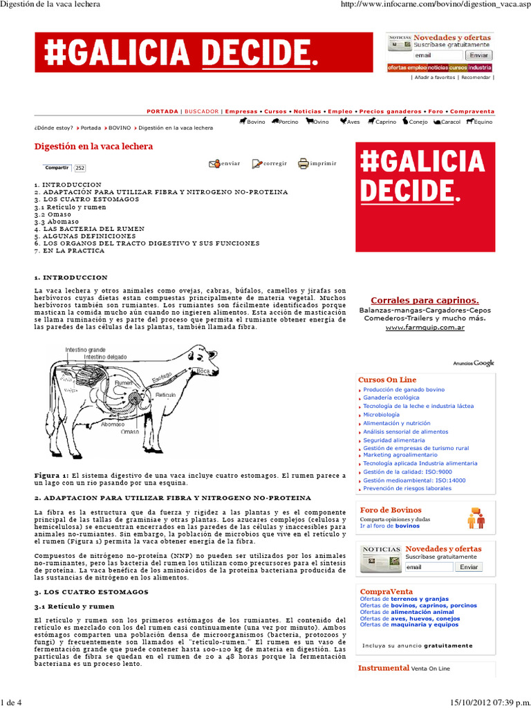 Digestión de La Vaca | PDF | Industria de alimentos | Agricultura