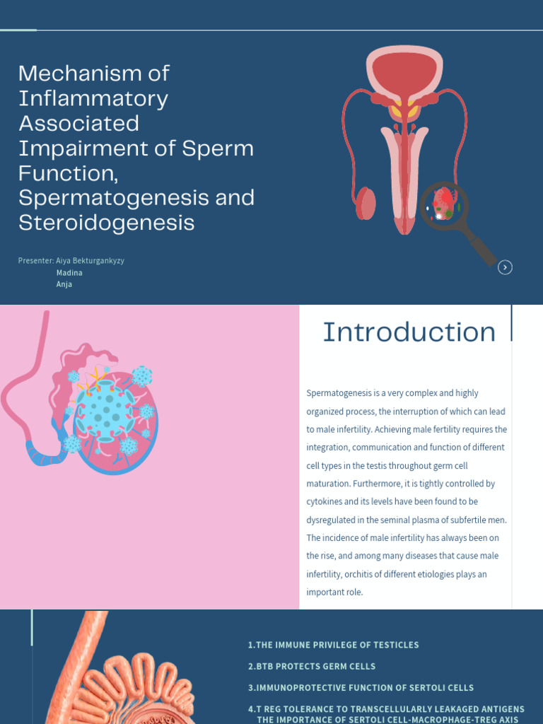 Mechanism of Inflammatory Associated Impairment of Sperm Function ...