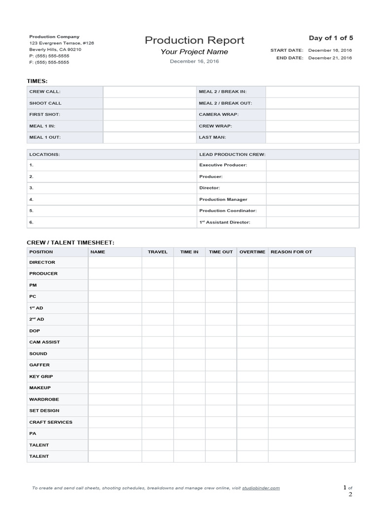 Daily Production Report - StudioBinder | PDF