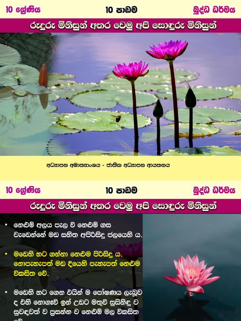 Wohdmk Wud Hdxyh - CD SL Wohdmk WDH KH | PDF