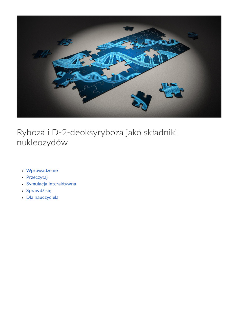 Ryboza I D2deoksyryboza Jako Skladniki Nukleozydow | PDF