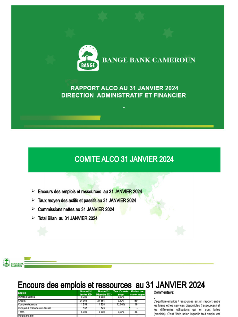 01-Rapport ALCO DAF 31 Janvier 2024 | PDF | Bilan comptable | Dettes