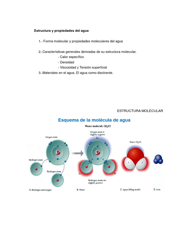 Estructura y Propiedades Agua | PDF | Propiedades del agua | Agua