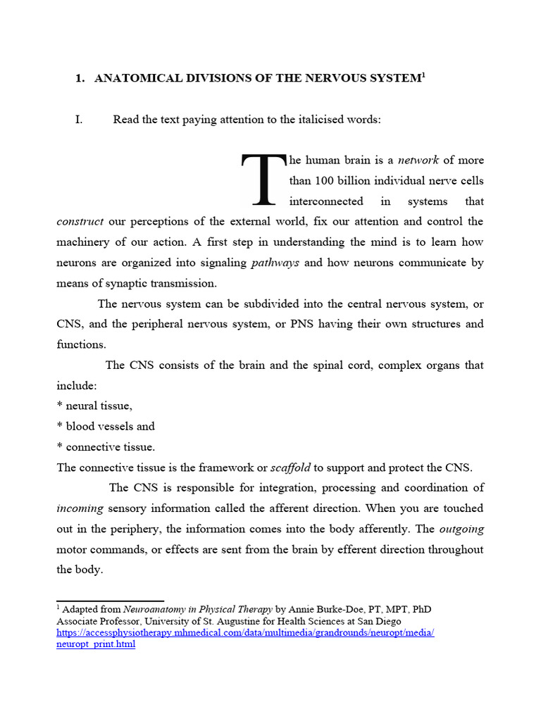 Anatomical Divisions of The Nervous System | PDF | Nervous System ...