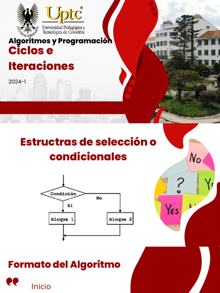 Algoritmos y Programación | PDF | Algoritmos | Ingeniería Informática