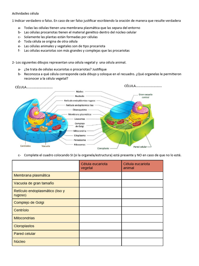Actividades Célula 2°año Básica | PDF