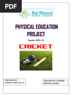 Cricket 07 Controls and Cheat Codes | PDF | Bowling (Cricket) | Cricket