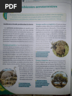 4° A Sociales Relieve de Entre Ríos | PDF | Clima | Herida