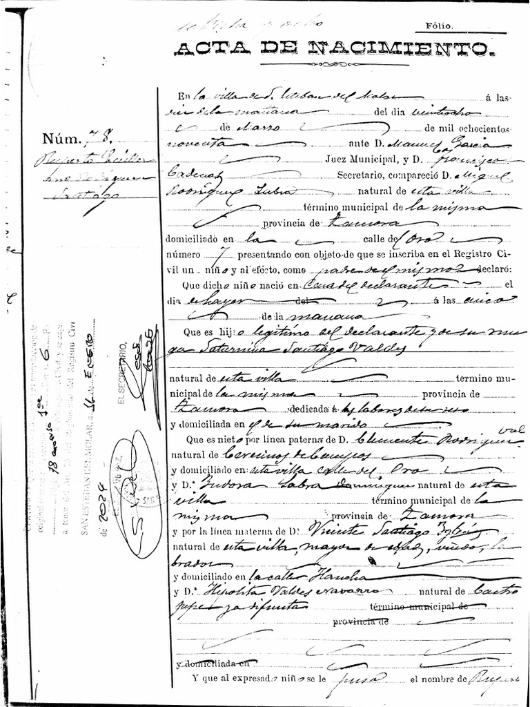 Nacimiento Ruperto Rodríguez Santiago - San Esteban Del Molar - 1890 | PDF