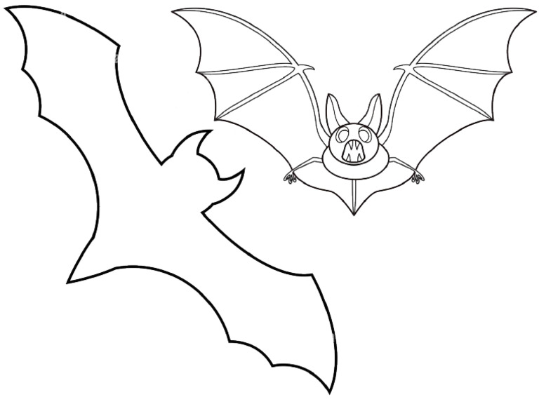 Bats | PDF
