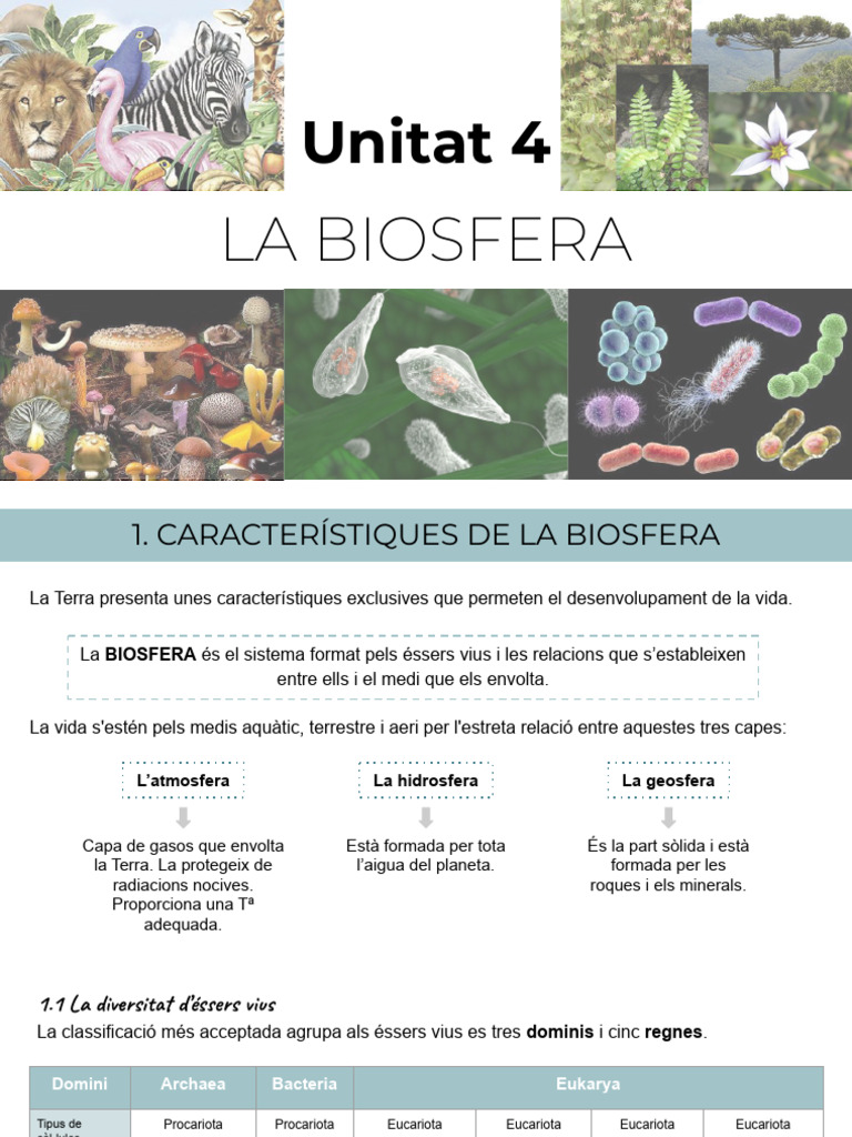 T.4 - La Biosfera | PDF