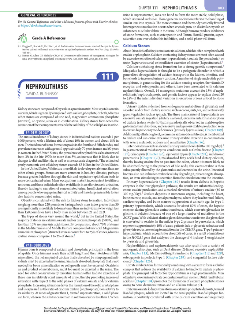 Nephrolithiasis Overview | PDF | Medical Specialties | Clinical Medicine