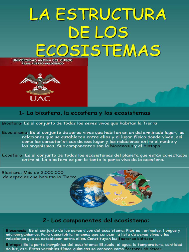 Estructura Del Ecosistema | PDF