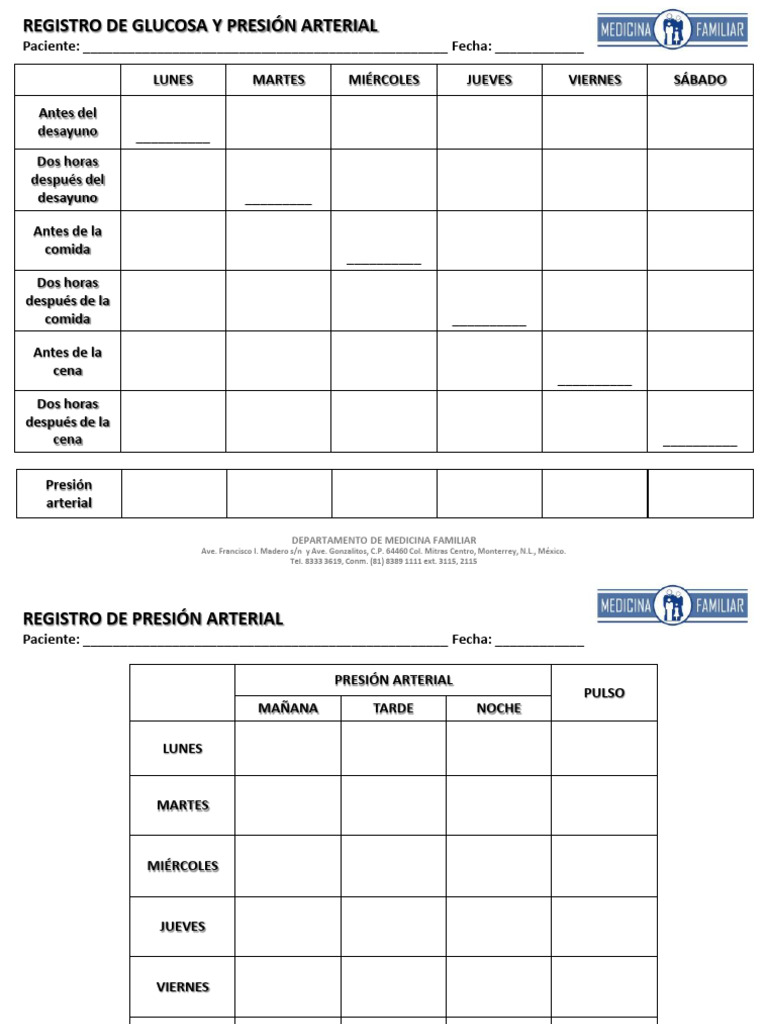 Registro de Glucosa y Presion | PDF
