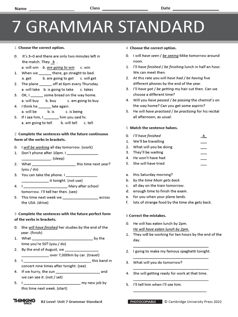 THKSP - ES - B2 - Grammar - Standard - Unit - 7 1 | PDF