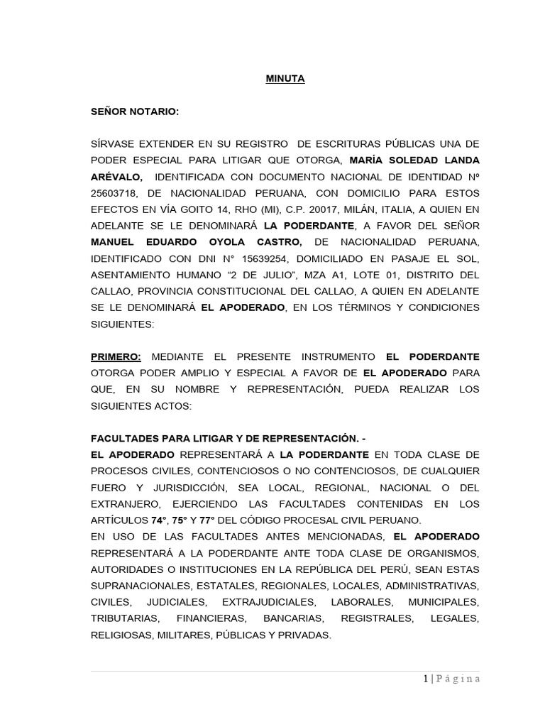 Poder para Representacion Legal | PDF | Gobierno | Judicaturas