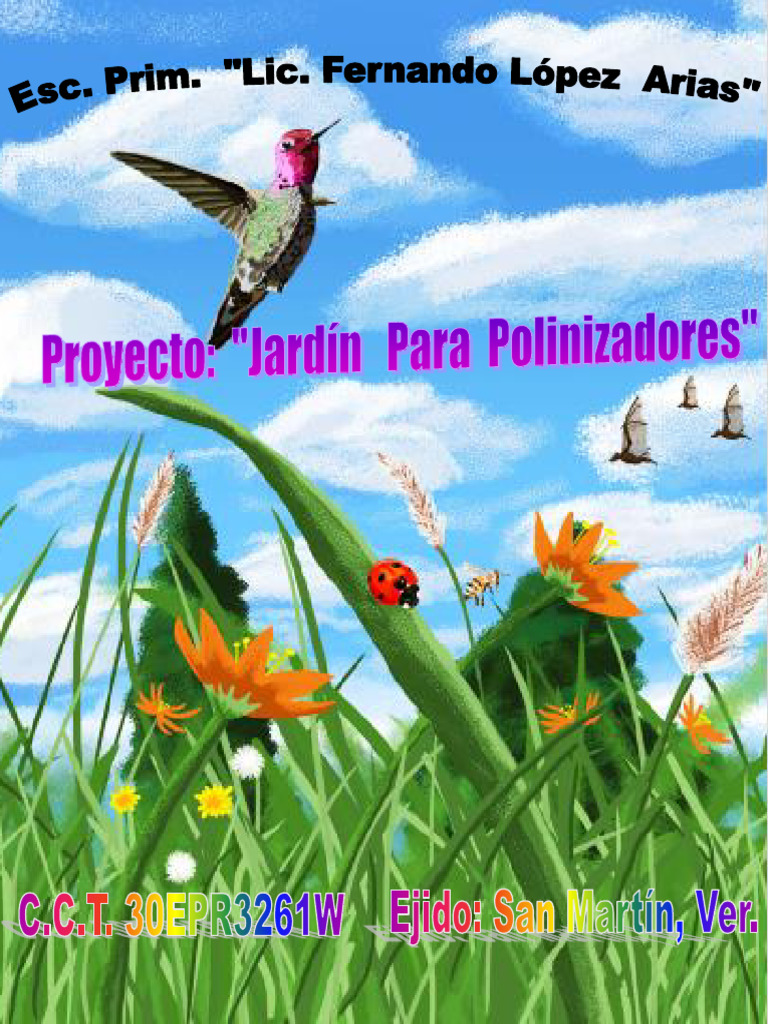 Jardín Escolar para Polinizadores | PDF | Polinización | Plantas