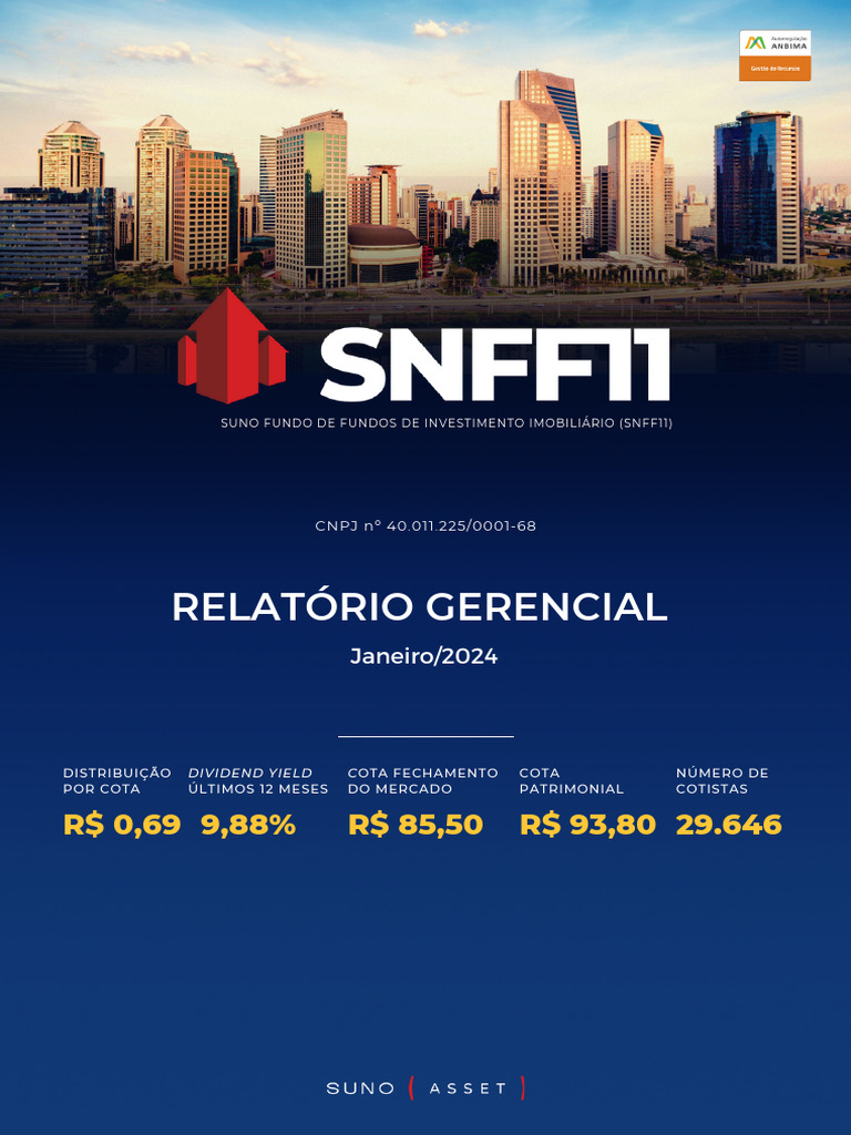 Relatorio snff11 Janeiro | PDF | Juros | Inflação