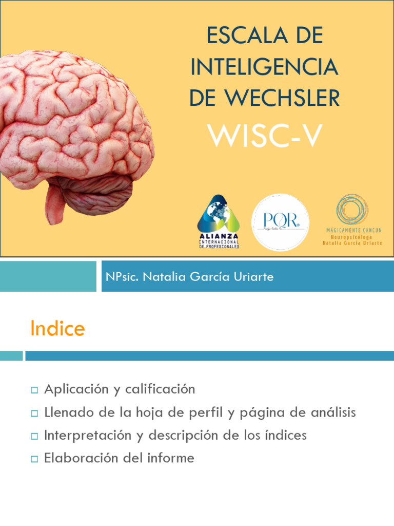 WISC-IV Expo | PDF | Inteligencia | Memoria