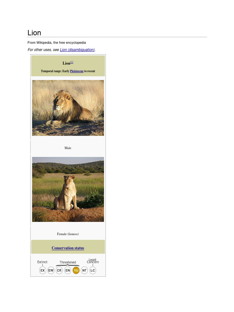 Lion | PDF | Lion | Felids