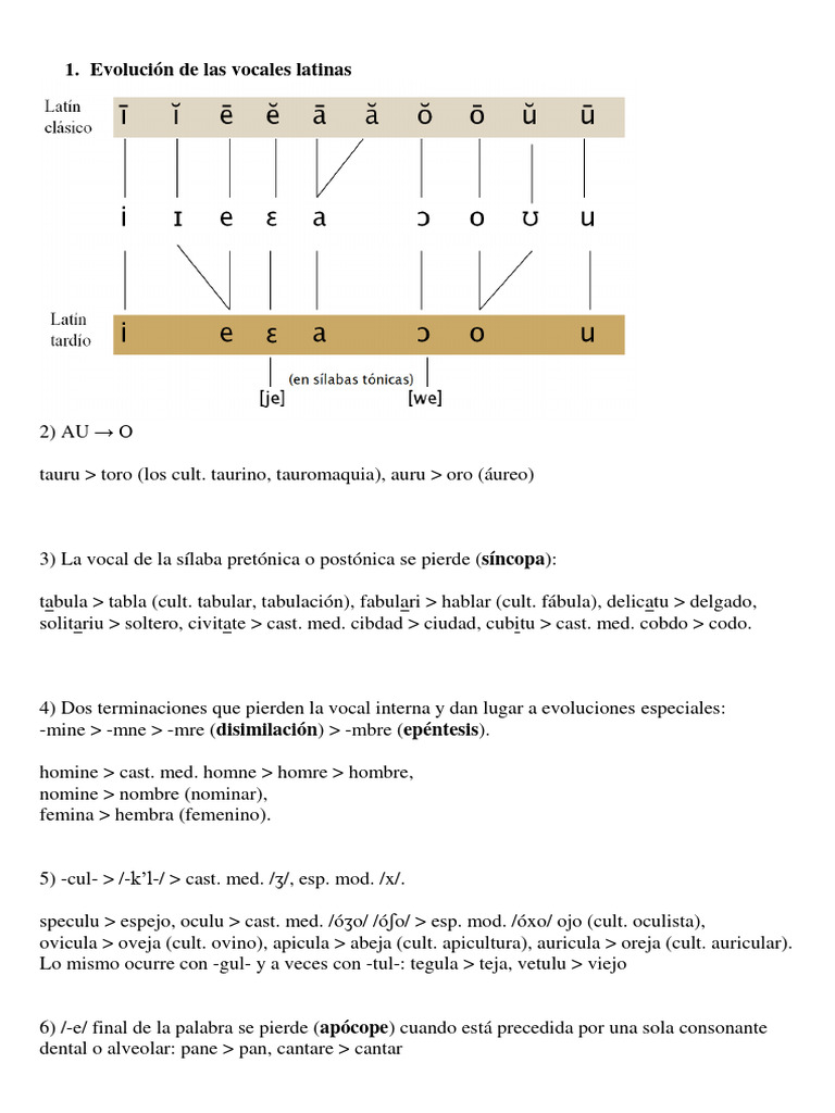 Evolución de Las Vocales y Consonantes Latinas | Descargar gratis PDF ...