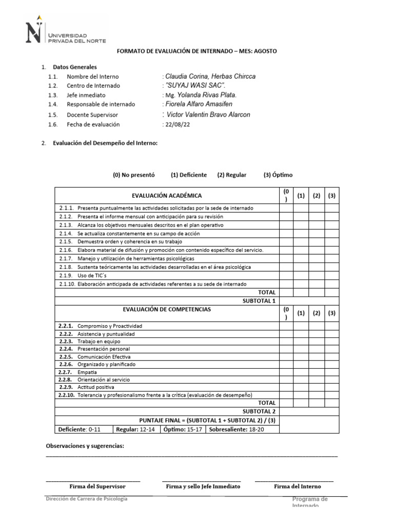 Formato de Supervisión | PDF | Cognición