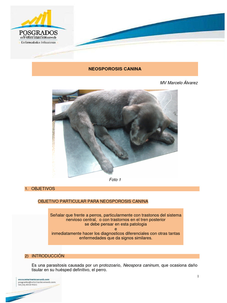 Neos Poros Is | PDF | Medicina | Especialidades Medicas