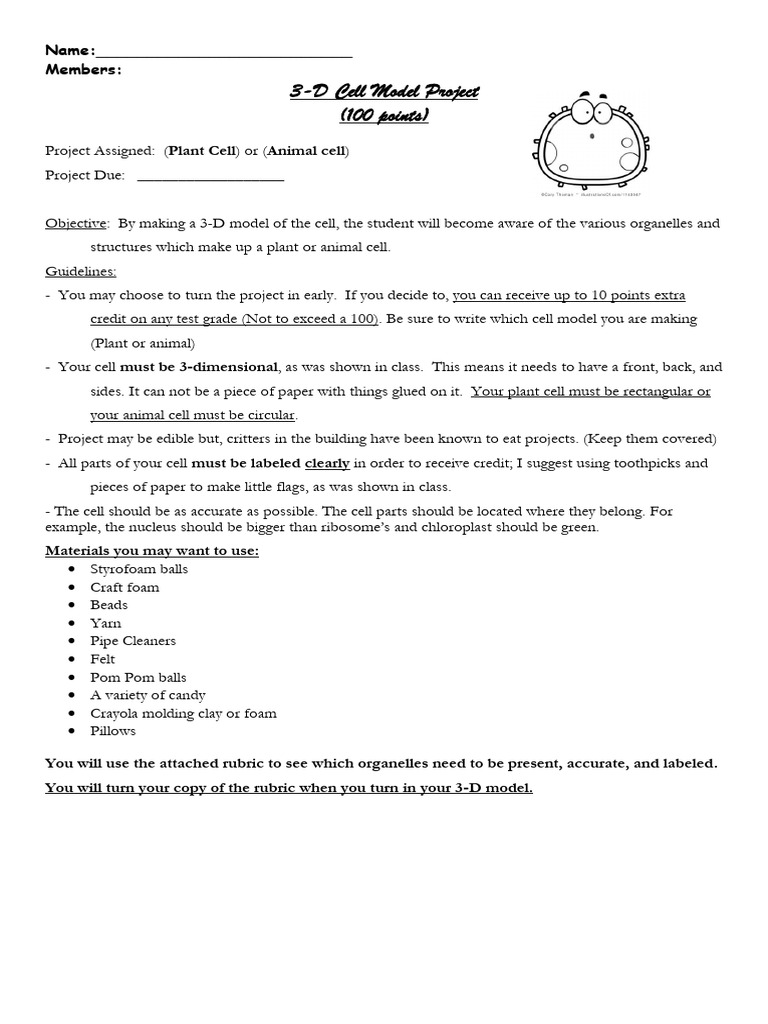 3D Cell Model Project Guidelines | PDF | Organelle | Cell (Biology)