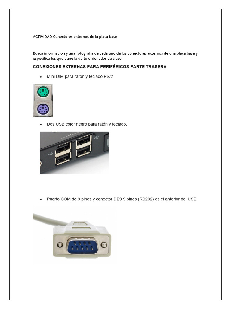 ACTIVIDAD Conectores Externos de La Placa Base | PDF | Informática