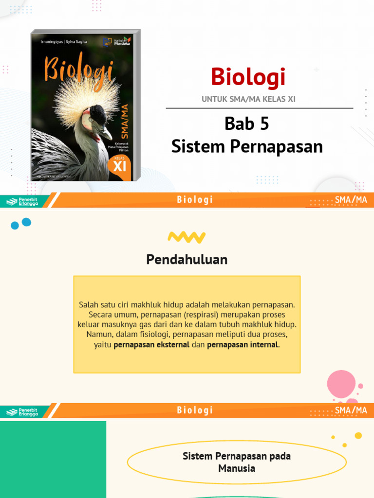 Bab 5 Biologi Kelas XI Kur-Merdeka | PDF | Sains & Matematika