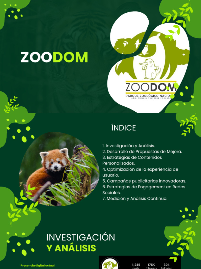 Zoodom | PDF | Red mundial | Internet y web