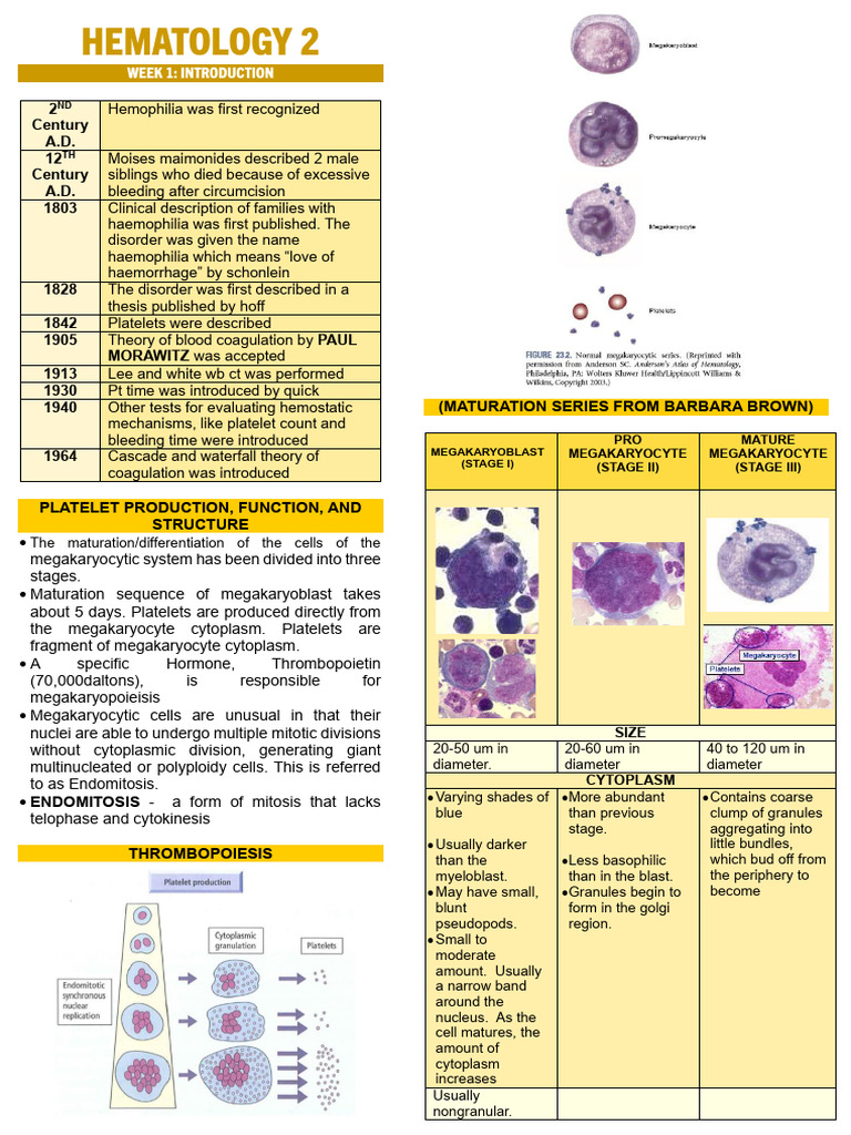 Hema Lec Week 1 | PDF
