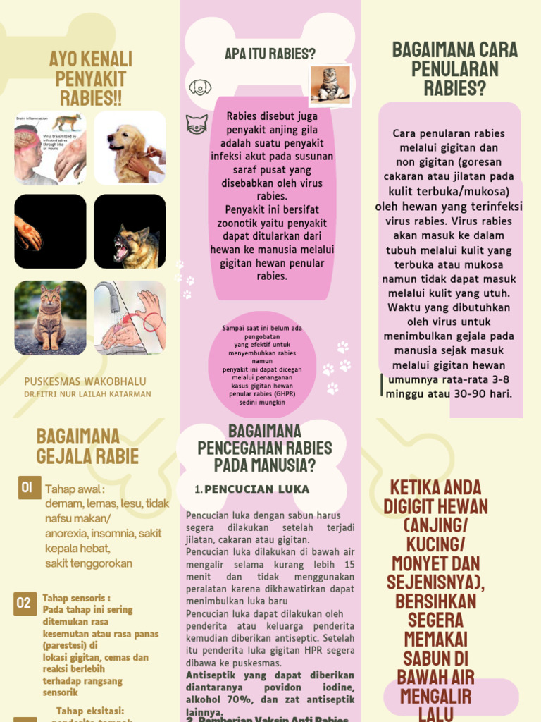 Pencegahan dan Gejala Rabies pada Manusia | PDF