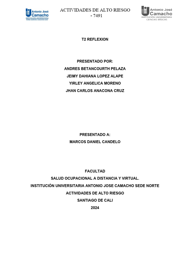 T2 Reflexion - 7491 | PDF