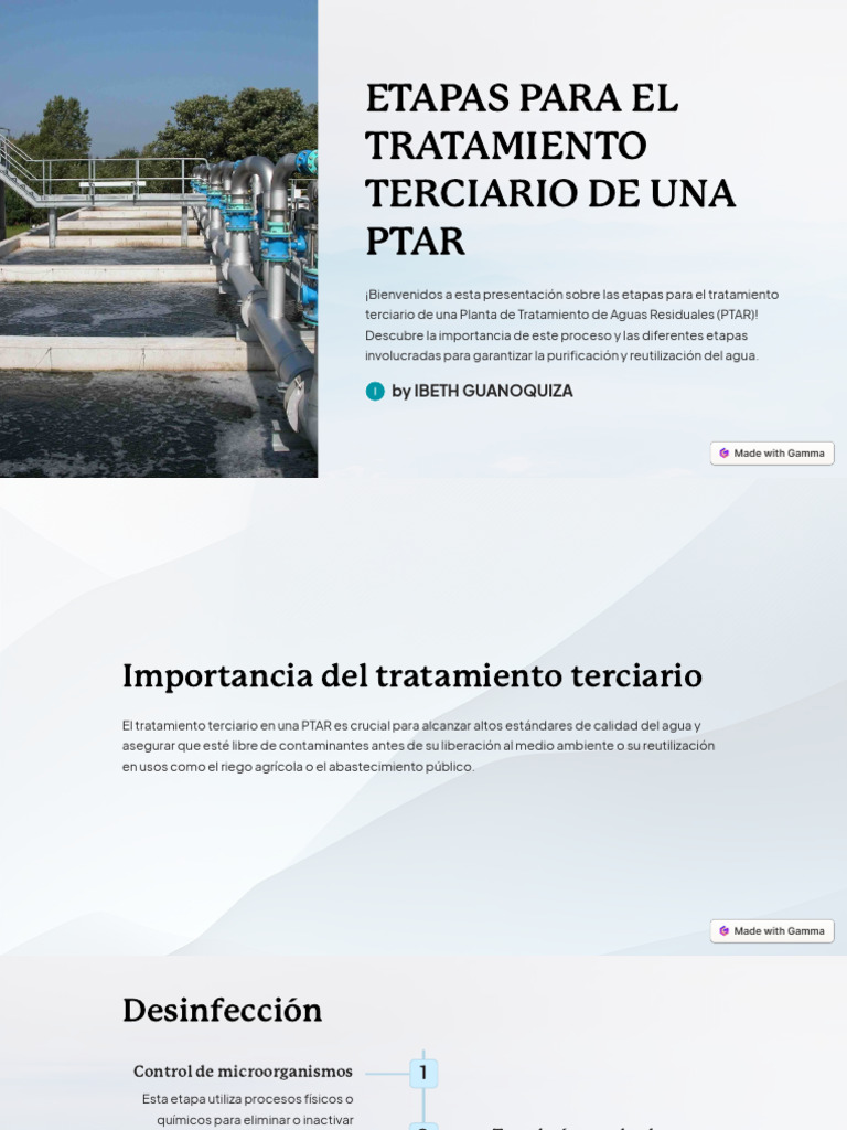 Etapas para El Tratamiento Terciario de Una Ptar | PDF
