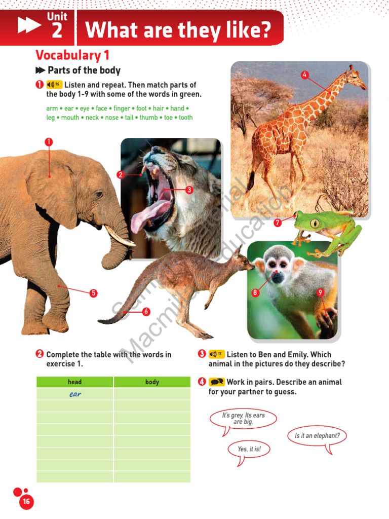 Phases 2nd Ed Split 1A Student SBook Workbook Unit2 | PDF | Linguistics