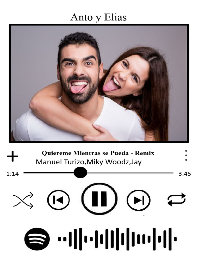 Cuadros Con Spotify | PDF