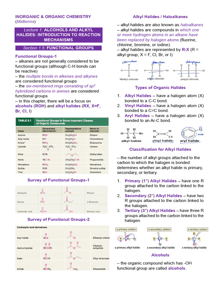 Alcohols & Alkyl Halides Guide | PDF | Alkane | Functional Group