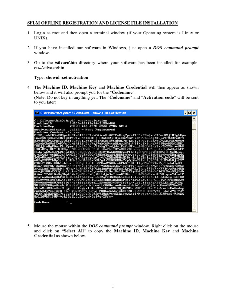 (SFLM) Offline Guide | PDF | Command Line Interface | Computer File