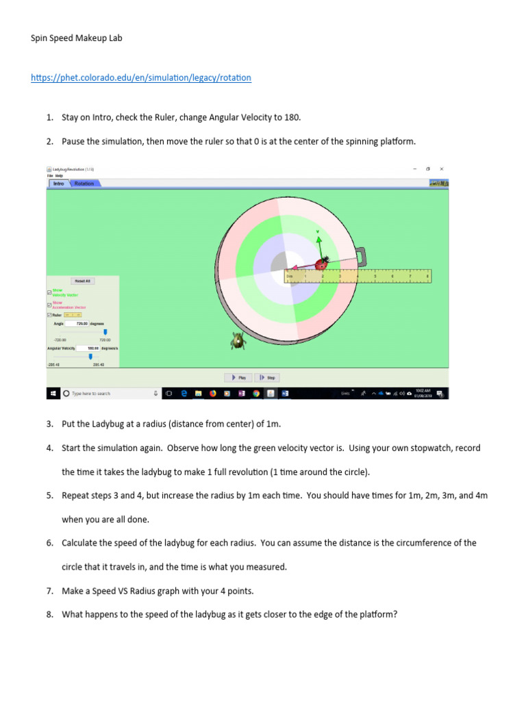 Ladybug Spin Speed Experiment Guide | PDF