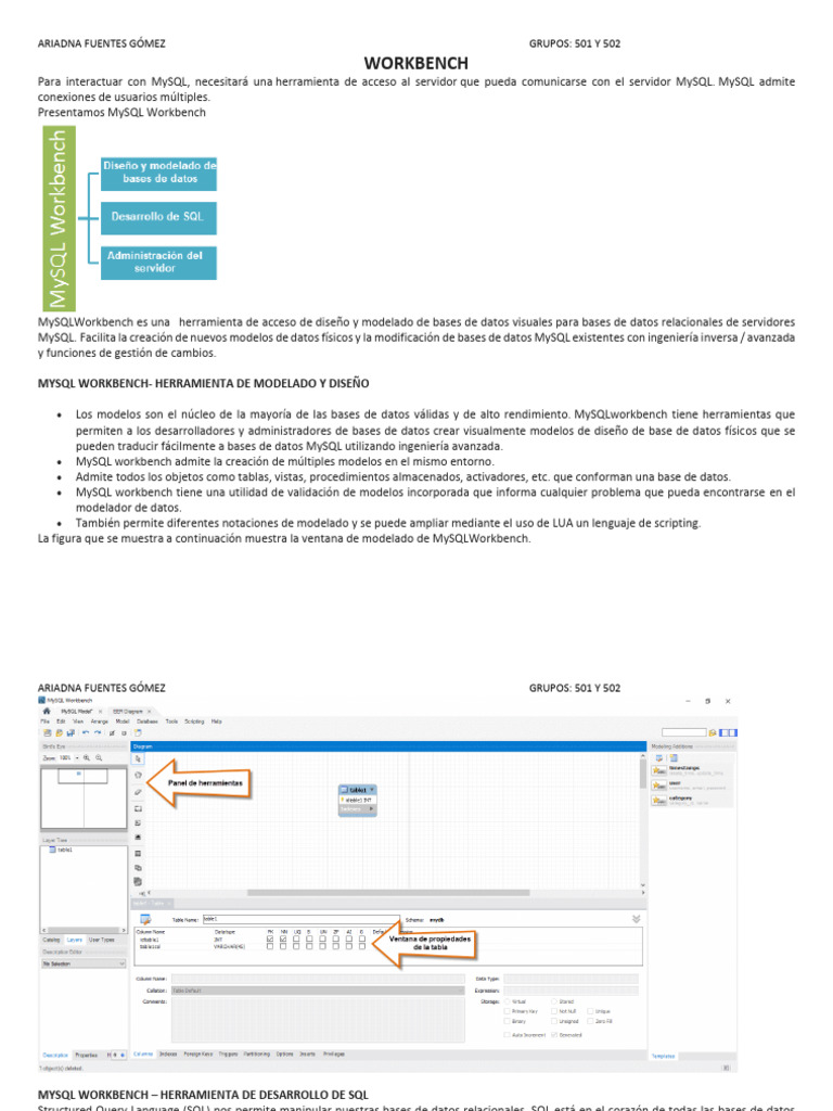 Entorno de Workbench | PDF | Mi sql | Bases de datos