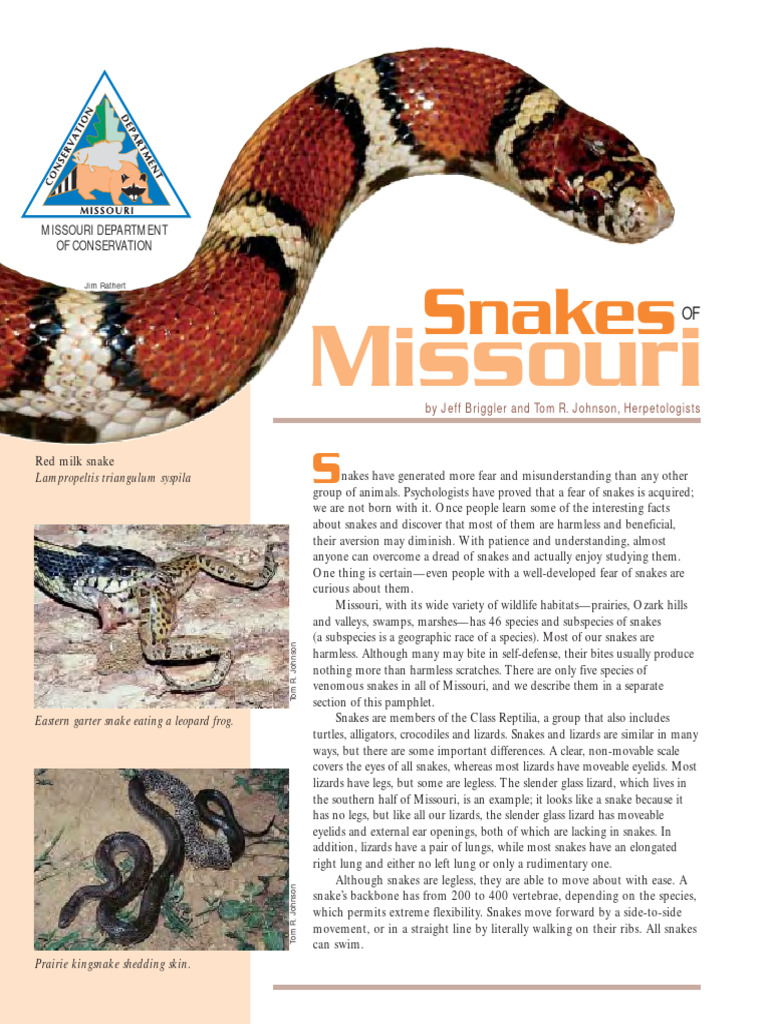 Missouri Snakes | PDF | Snake | Squamata