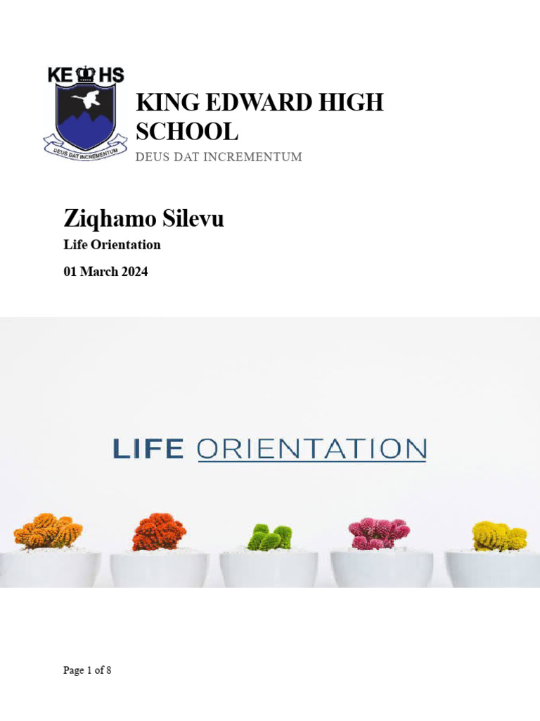 Lo Project 2024 | PDF | Self Esteem | Discrimination