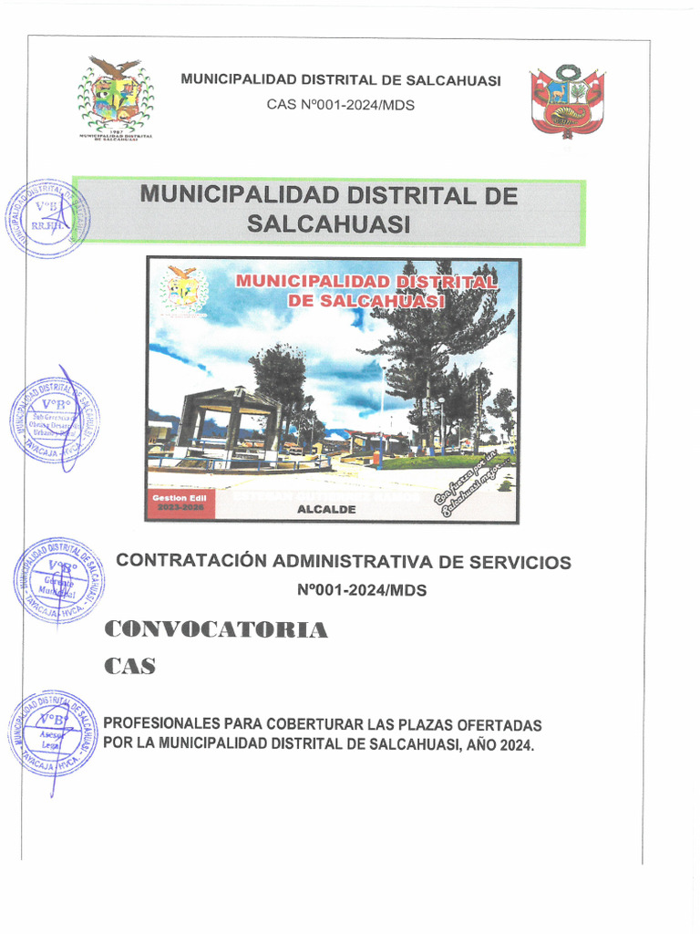 Convocatoria Cas 2024 | PDF