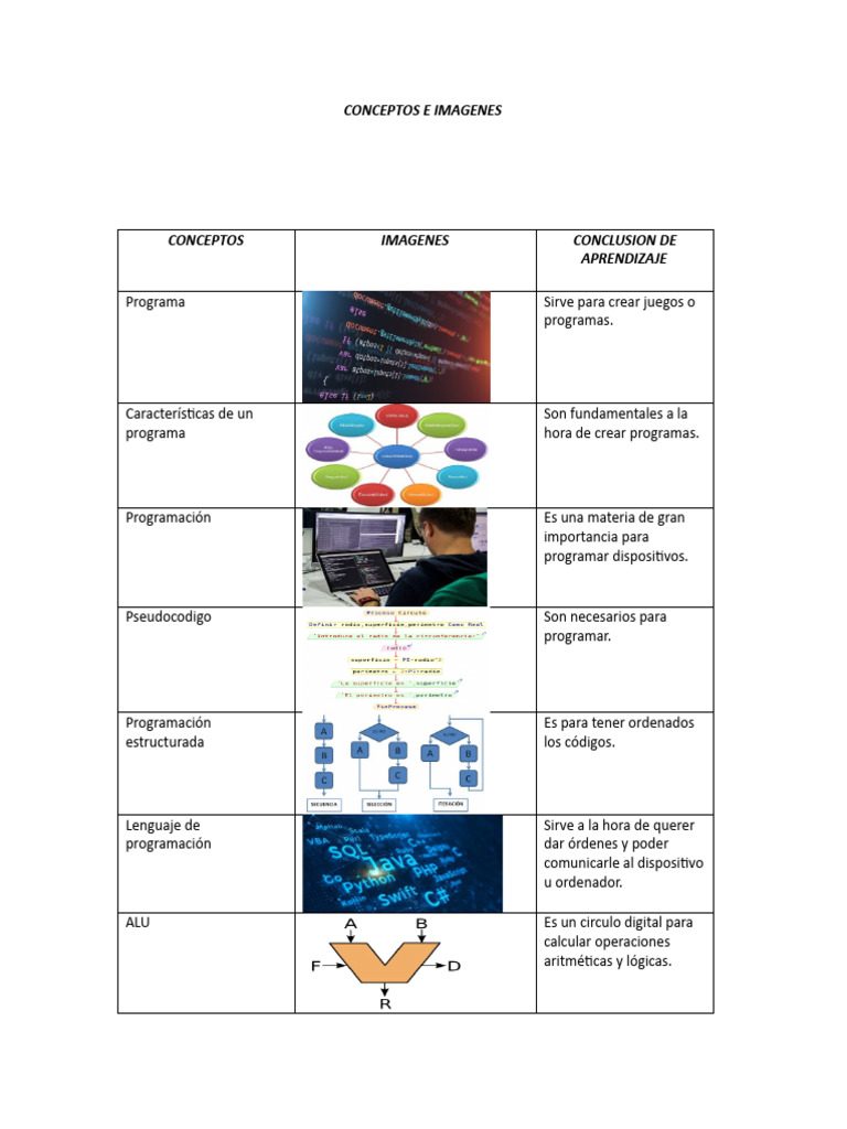 Conceptos e Imagenes | PDF | Lenguaje de programación | Programa de computadora