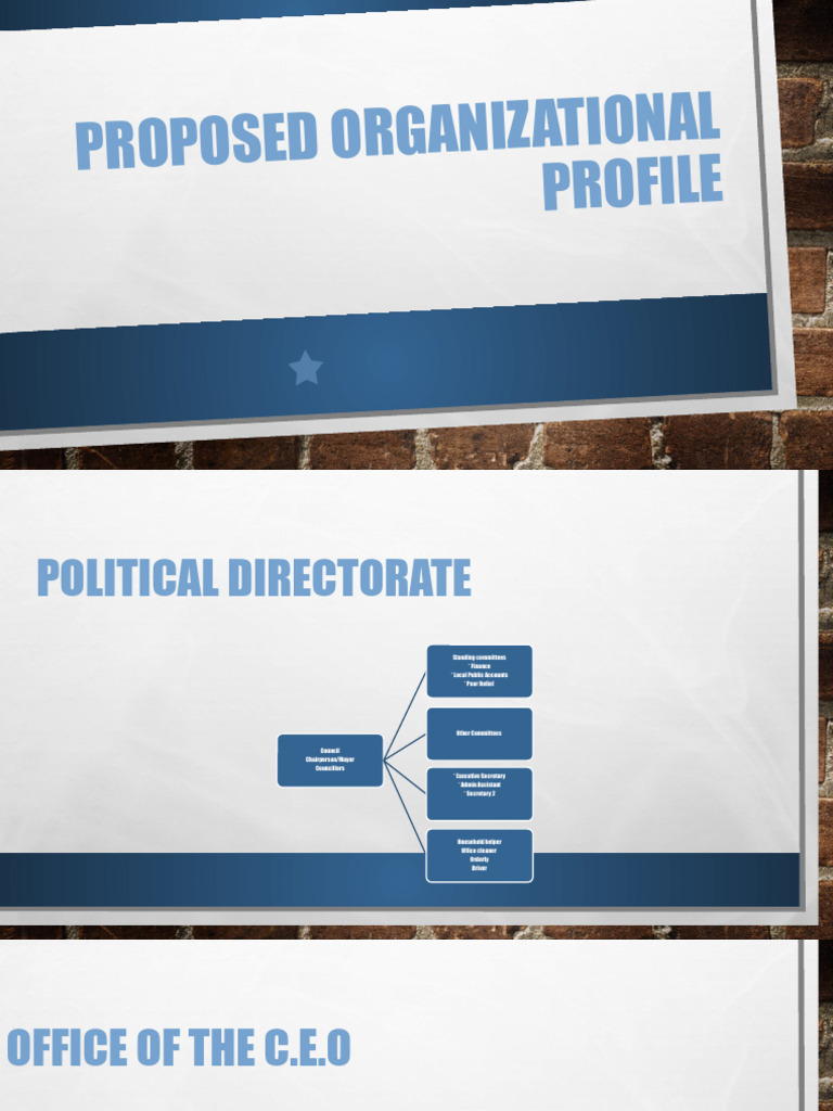 Proposed Organizational Profile HMC | PDF | Chief Executive Officer ...