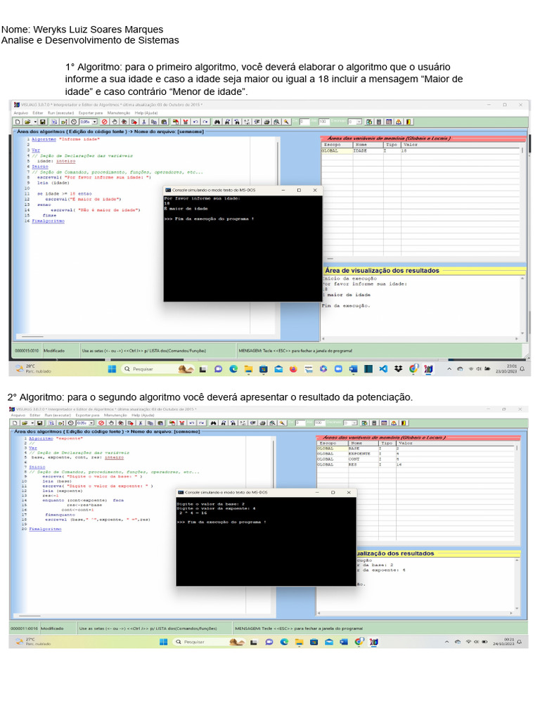 Portfólio Algoritmos e Programação Estruturada | PDF