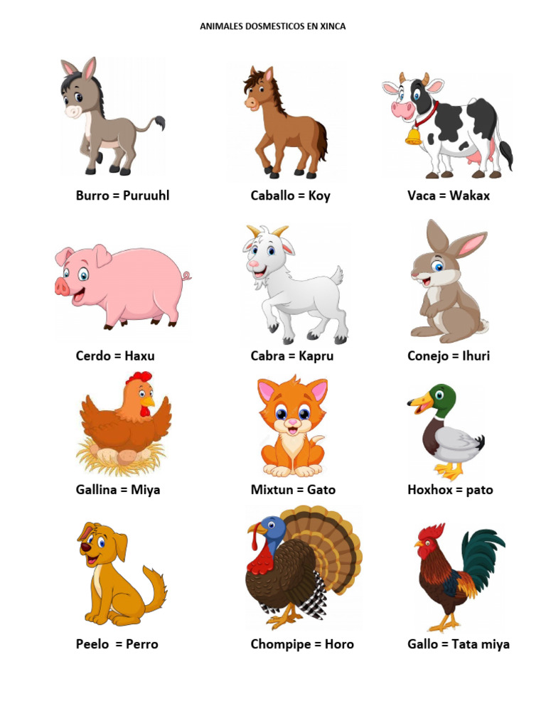 ANIMALES DOSMESTICOS EN XINCA | PDF