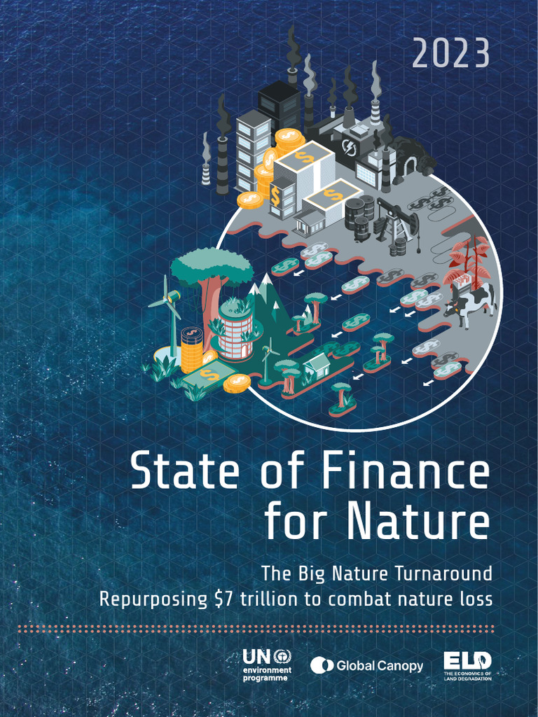 State Finance Nature 2023 | PDF | Biodiversity | Sustainability