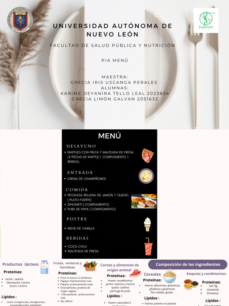 Menu PIA | PDF